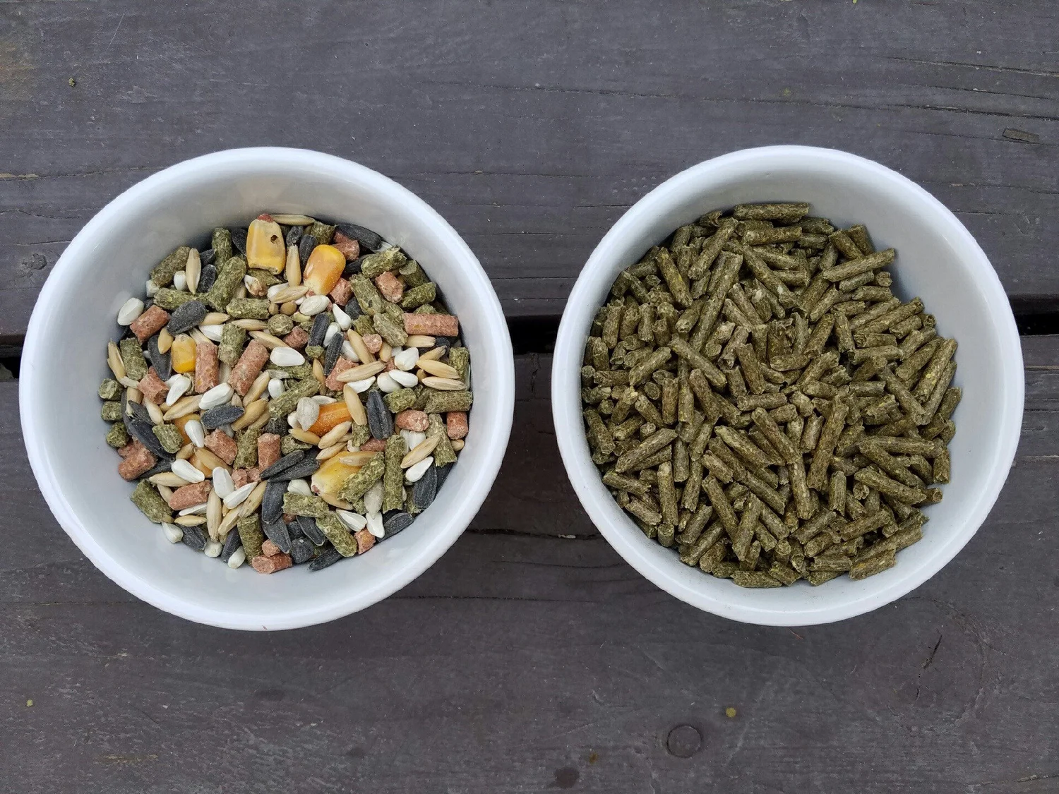 How to Choose Rabbit Pellets — BUNS