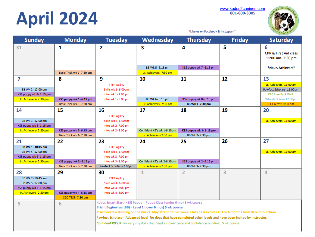 Group Classes — Kudos 2 Canines | Salt Lake County's Premier Dog & Puppy Classes