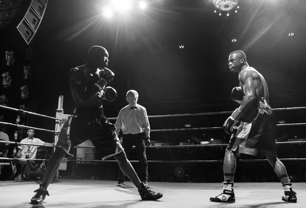 Sydney THE JACKAL Maccow