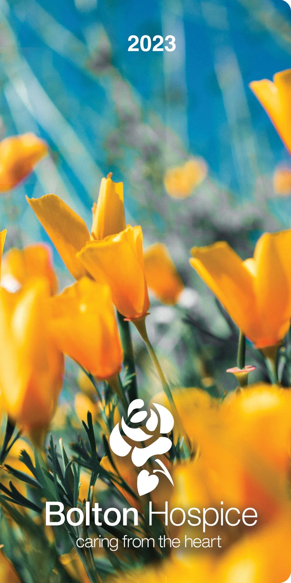 Bolton Hospice Online Shop