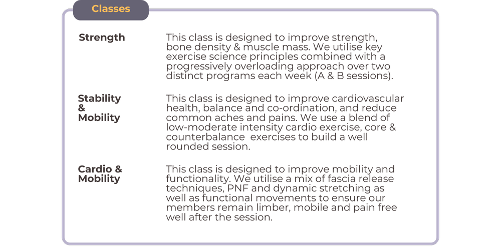 Age Well Small Group Training — MOE Fitness