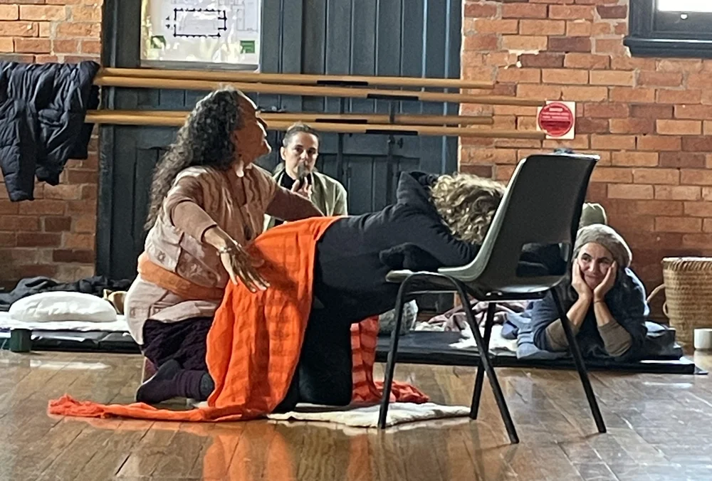 Naoli Vinaver - The Art of Birth | Bringing Naoli's Teachings to ...