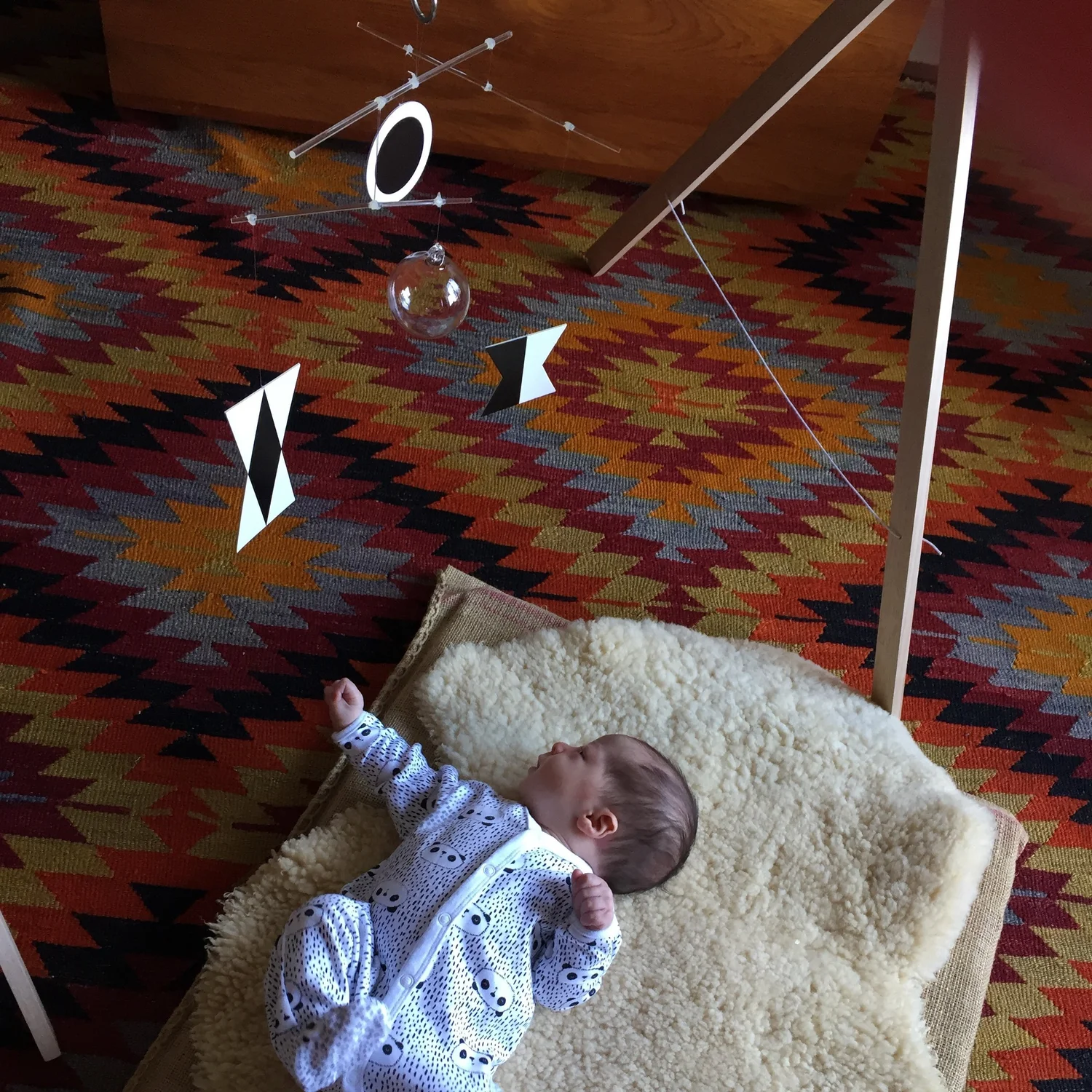 The Montessori Newborn Mobile Series: Enhancing Early Development and ...