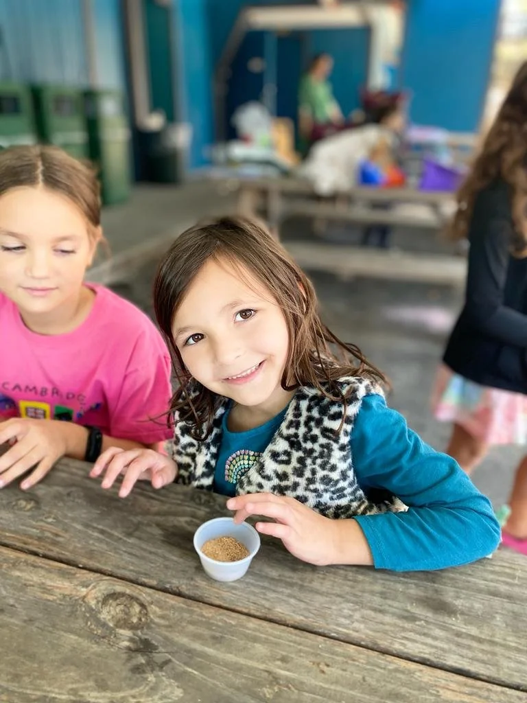 Chabad South Austin Texas Jewish Community