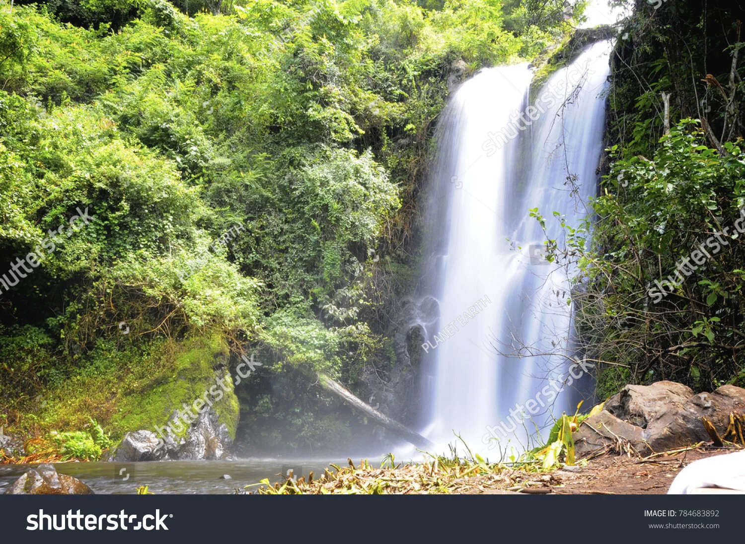 Day Tours — Birdie Safari