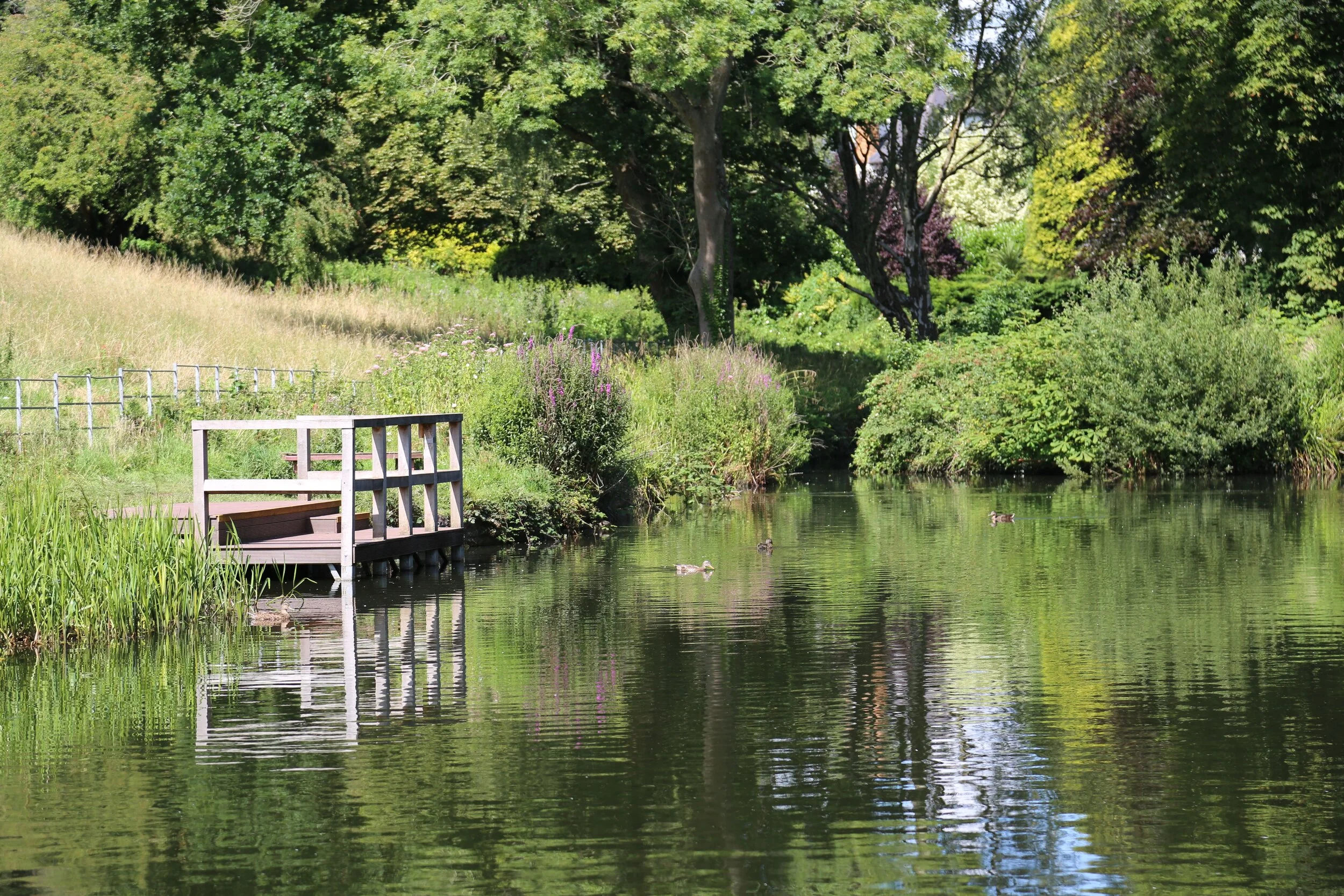 General 1 — The Friends of Old Sneed Park Nature Reserve