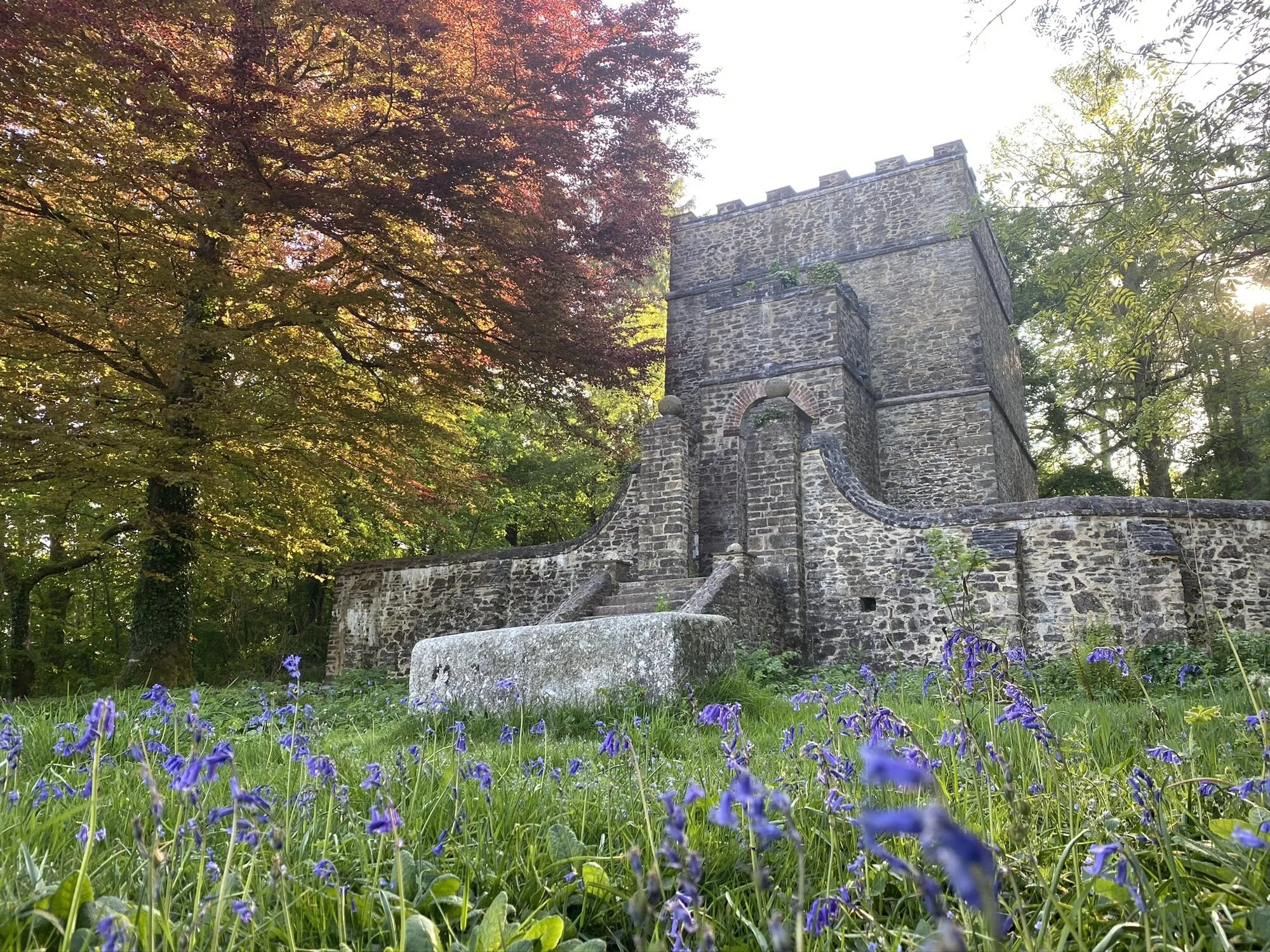 Things to Do at Pentillie | Private Hire Stays in Cornwall — Pentillie ...