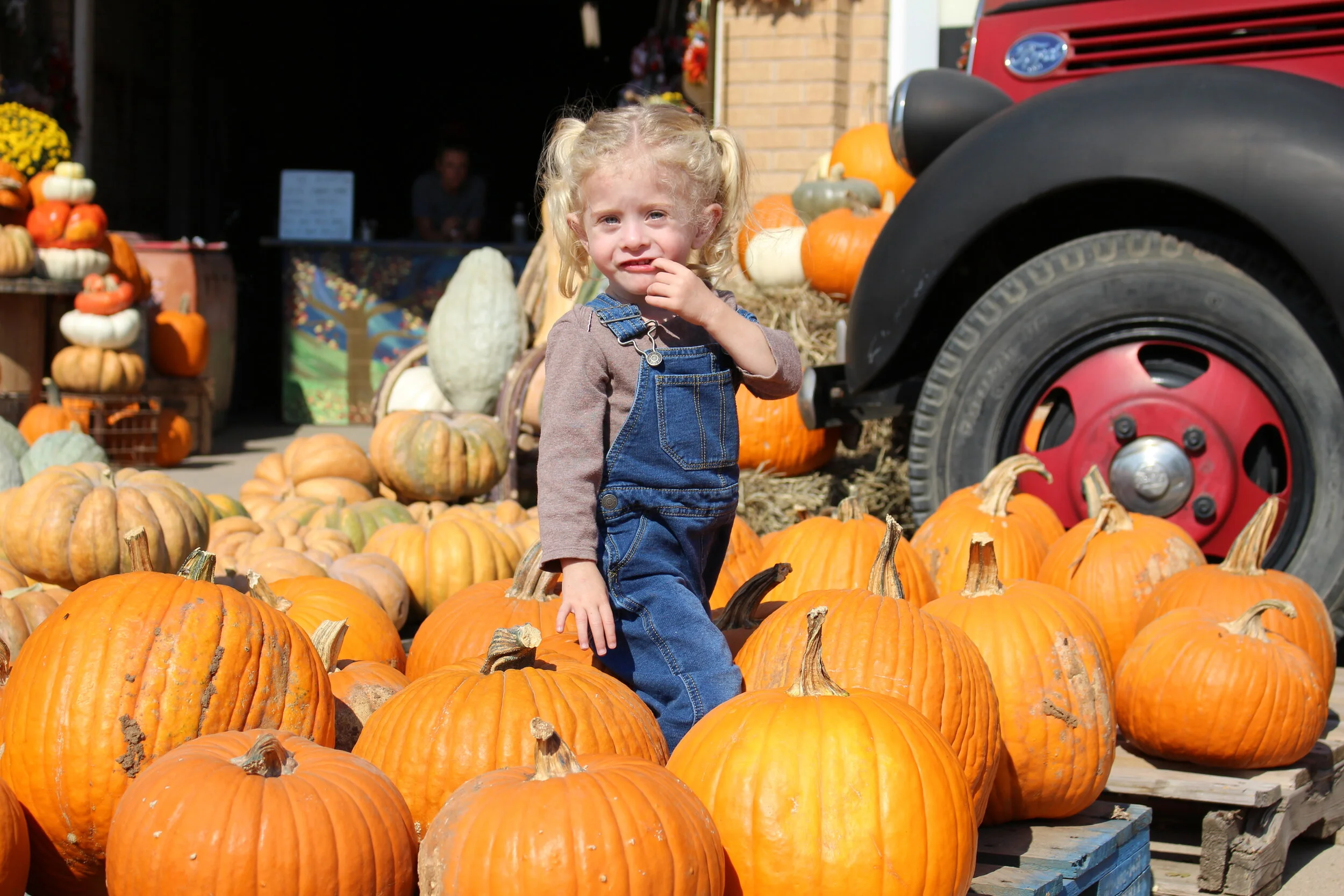 Visitor's Information — Visit Canadian Texas