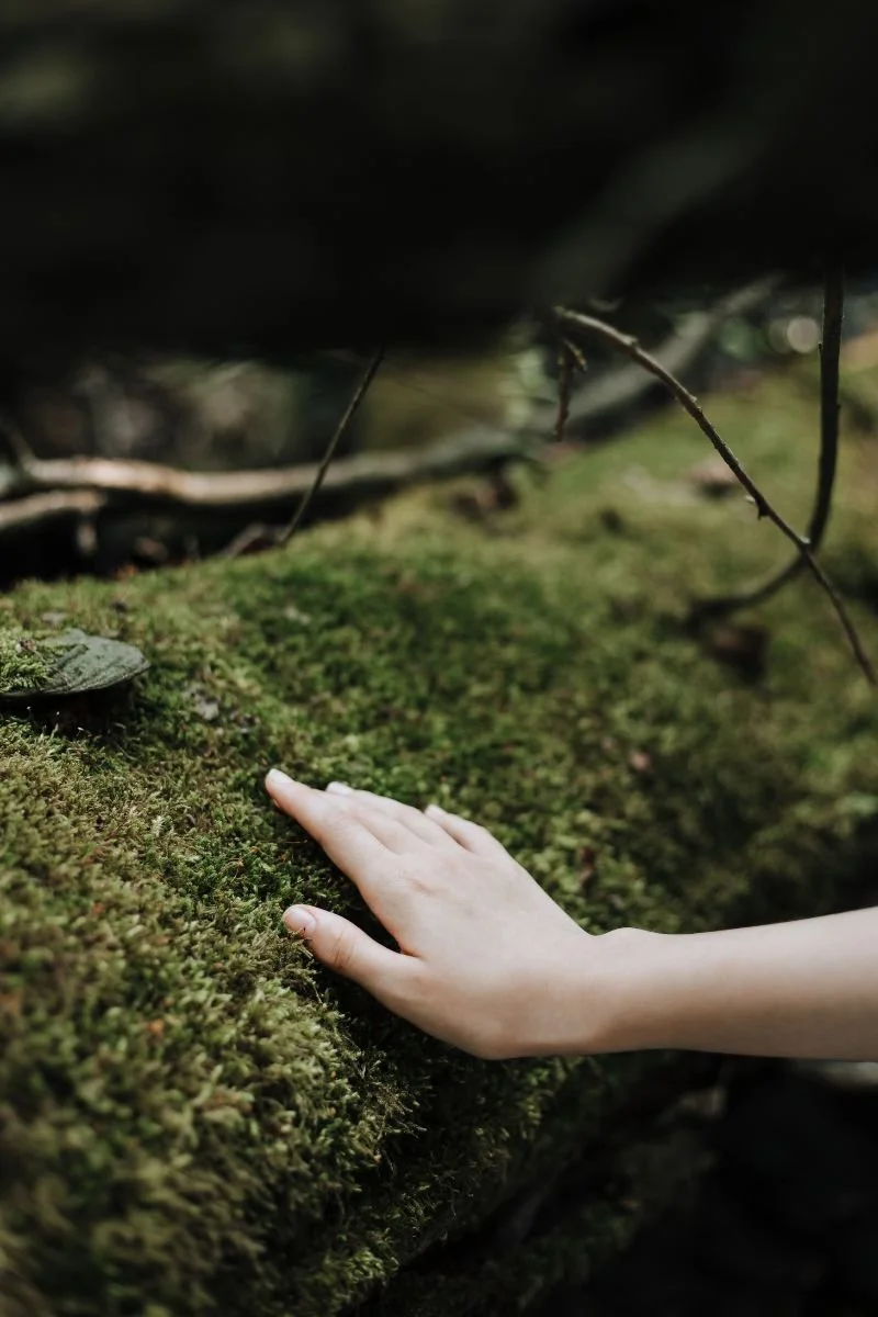 Conscious Movements For Menopause & The Midlife Shift