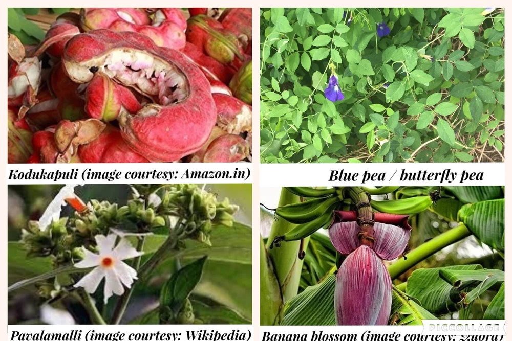 Of bountiful gardens and Vāzhaipoo Vadais