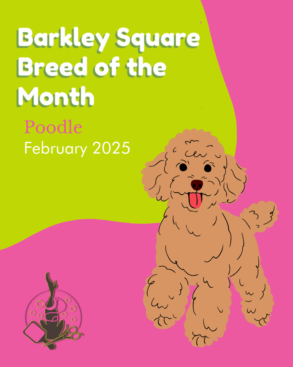 Dog Grooming Pet Sitting | Barkley Square