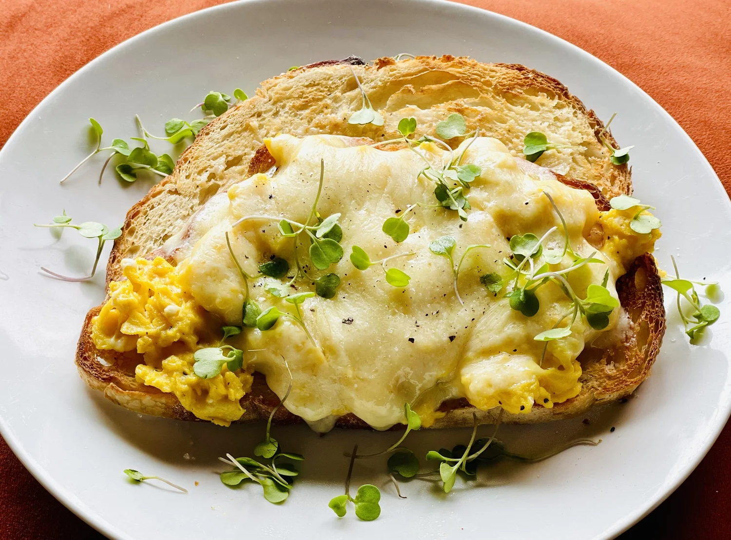 Breakfast Sandwich (low FODMAP) — IBS Game Changer