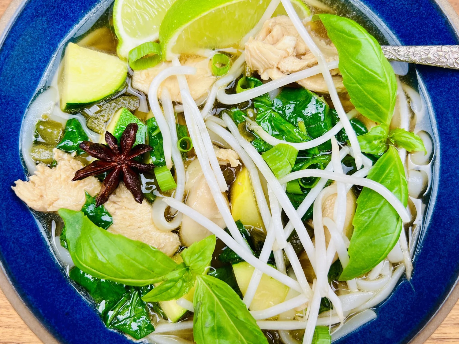 Vietnamese Pho (Low FODMAP) — IBS Game Changer
