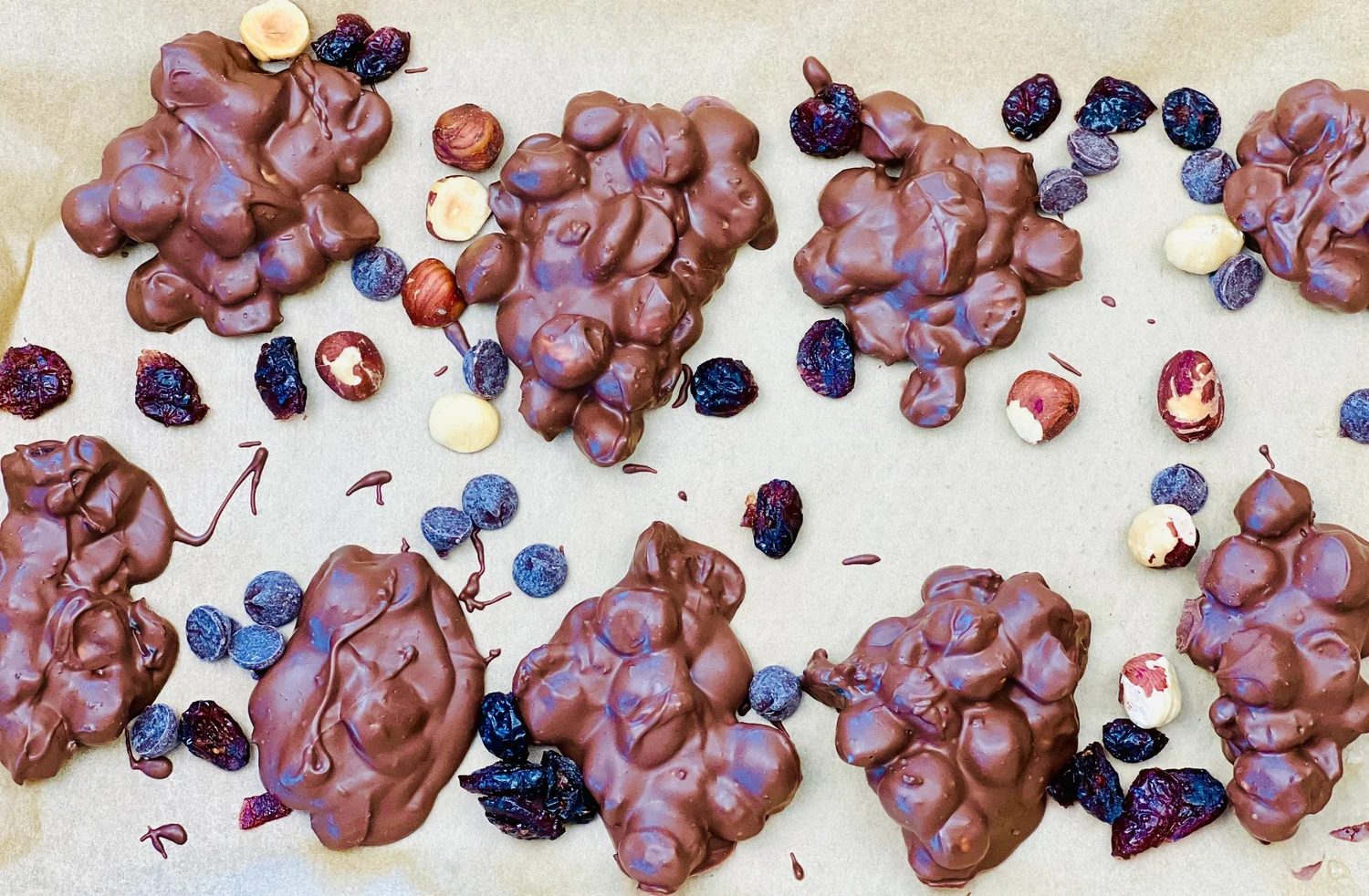 Chocolate Hazelnut Cranberry Clusters (Low FODMAP) — IBS Game Changer