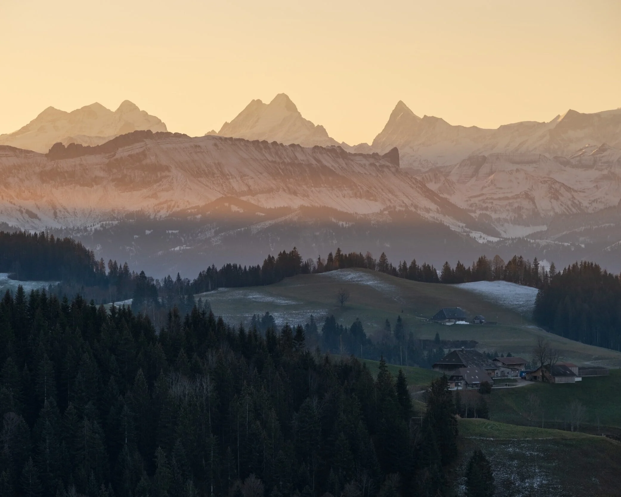 Psychotherapy in Danville and SF area, California - Fedra Tehrani Therapy
