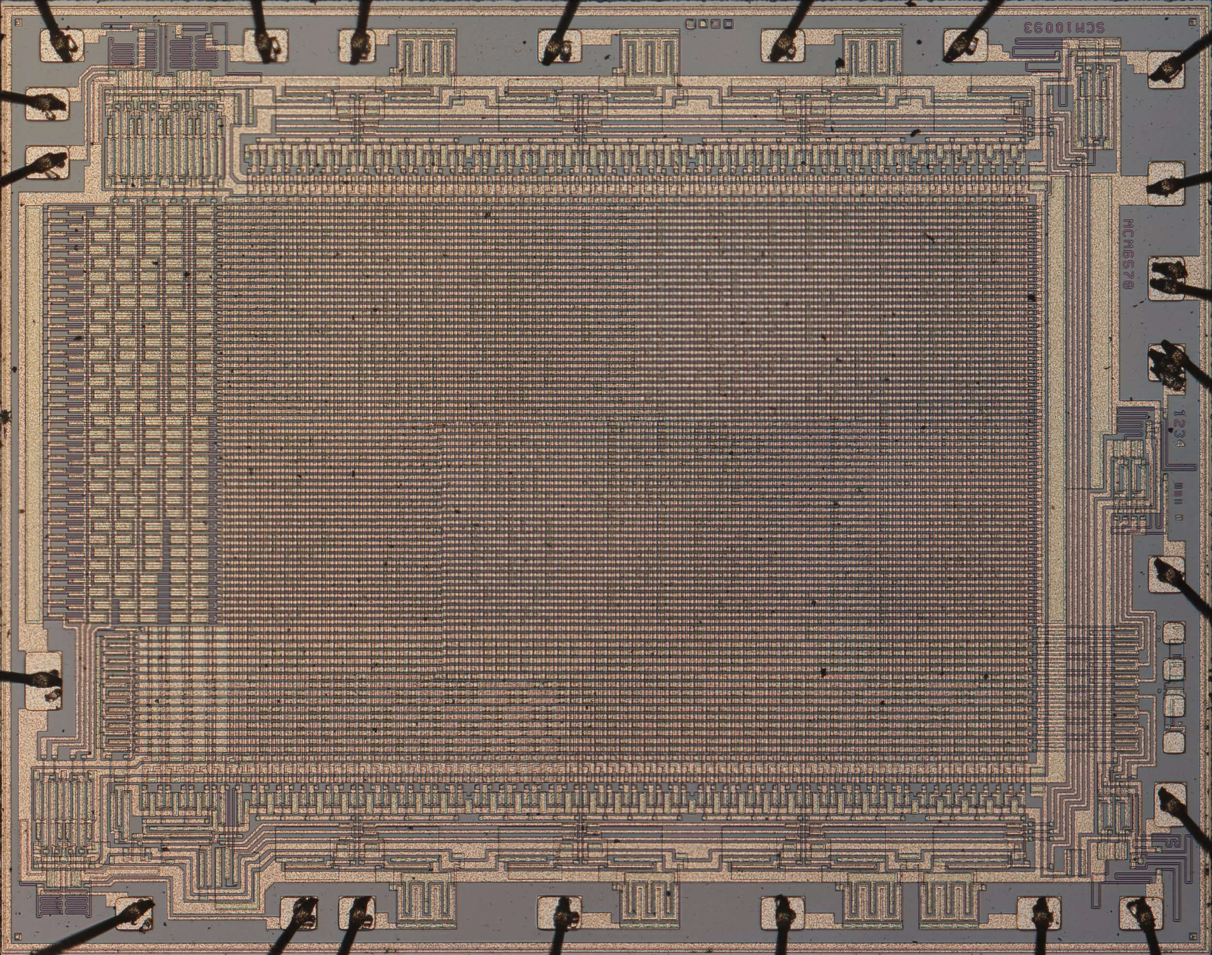 Silicon dies — Curious Scientist