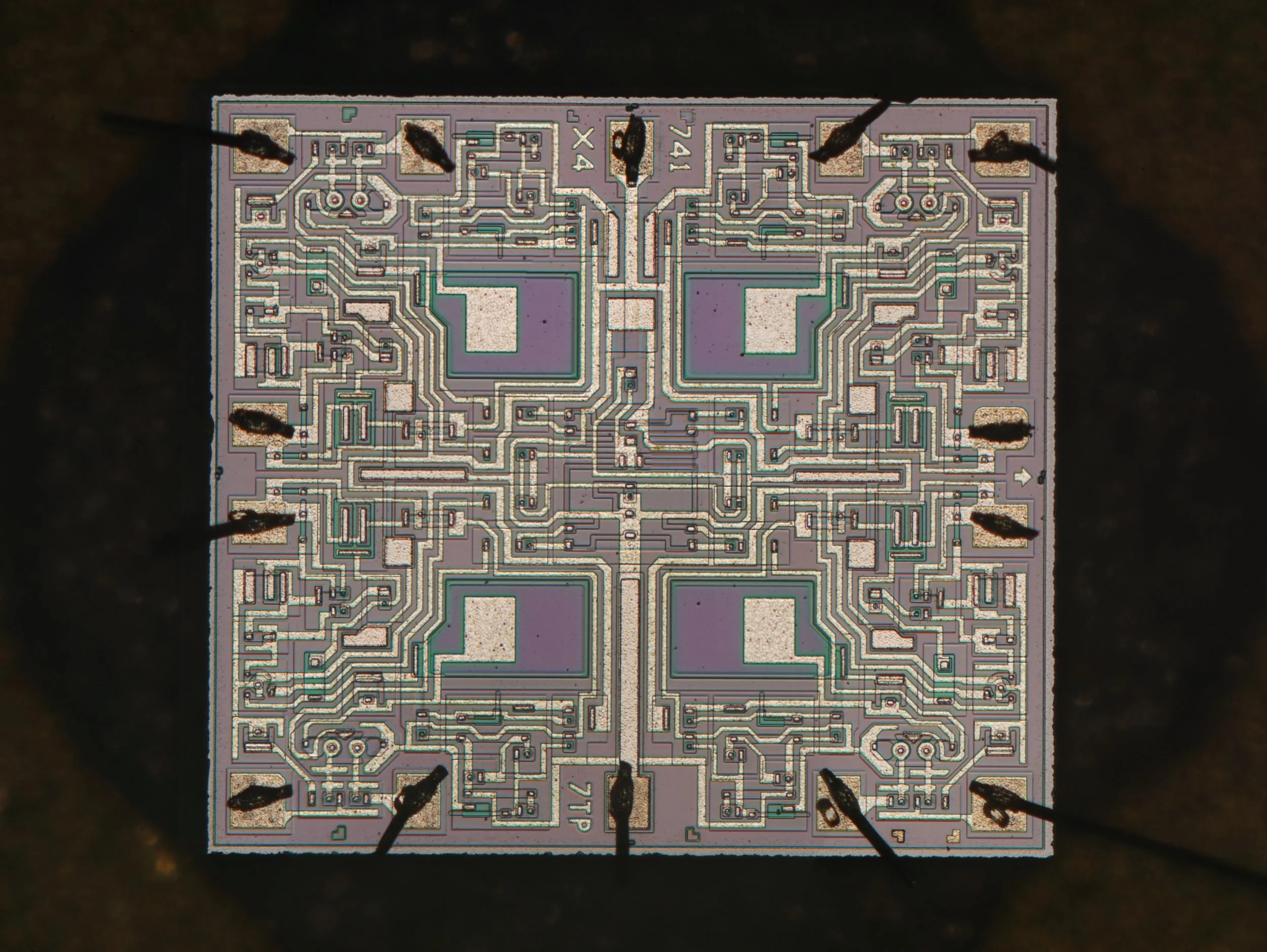 Silicon dies — Curious Scientist