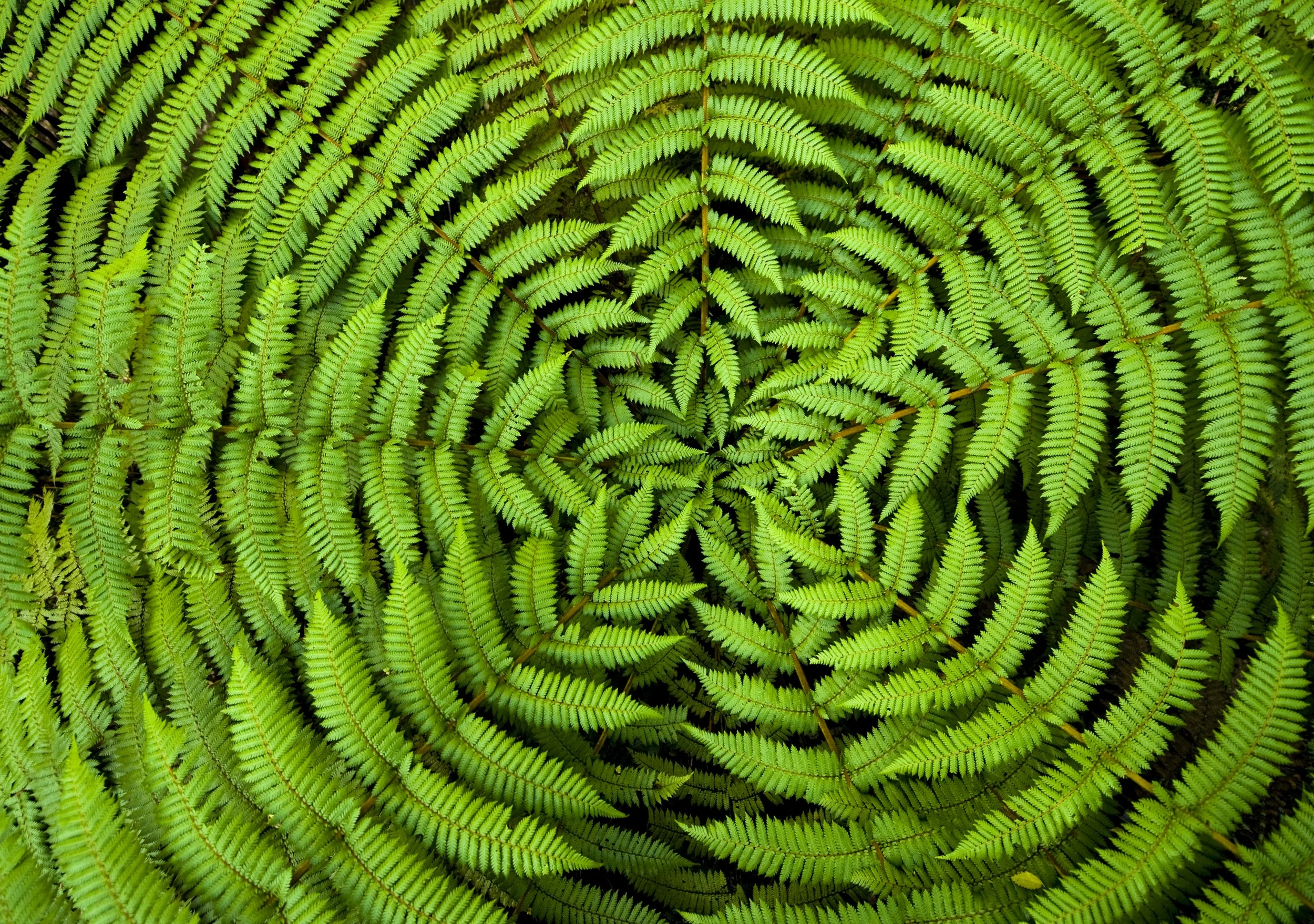 GreenCircle Certified