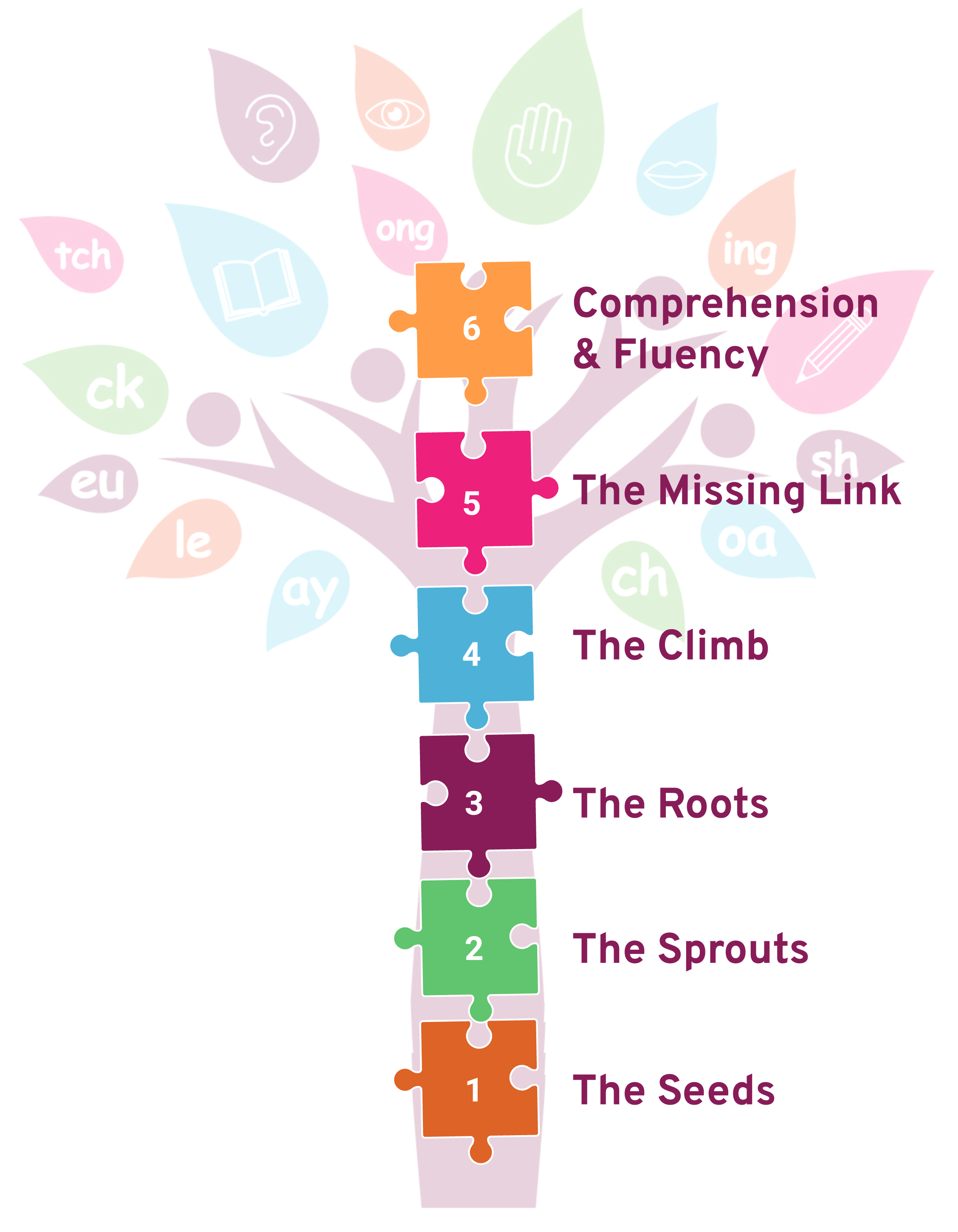 Our Classes — Literacy Tree