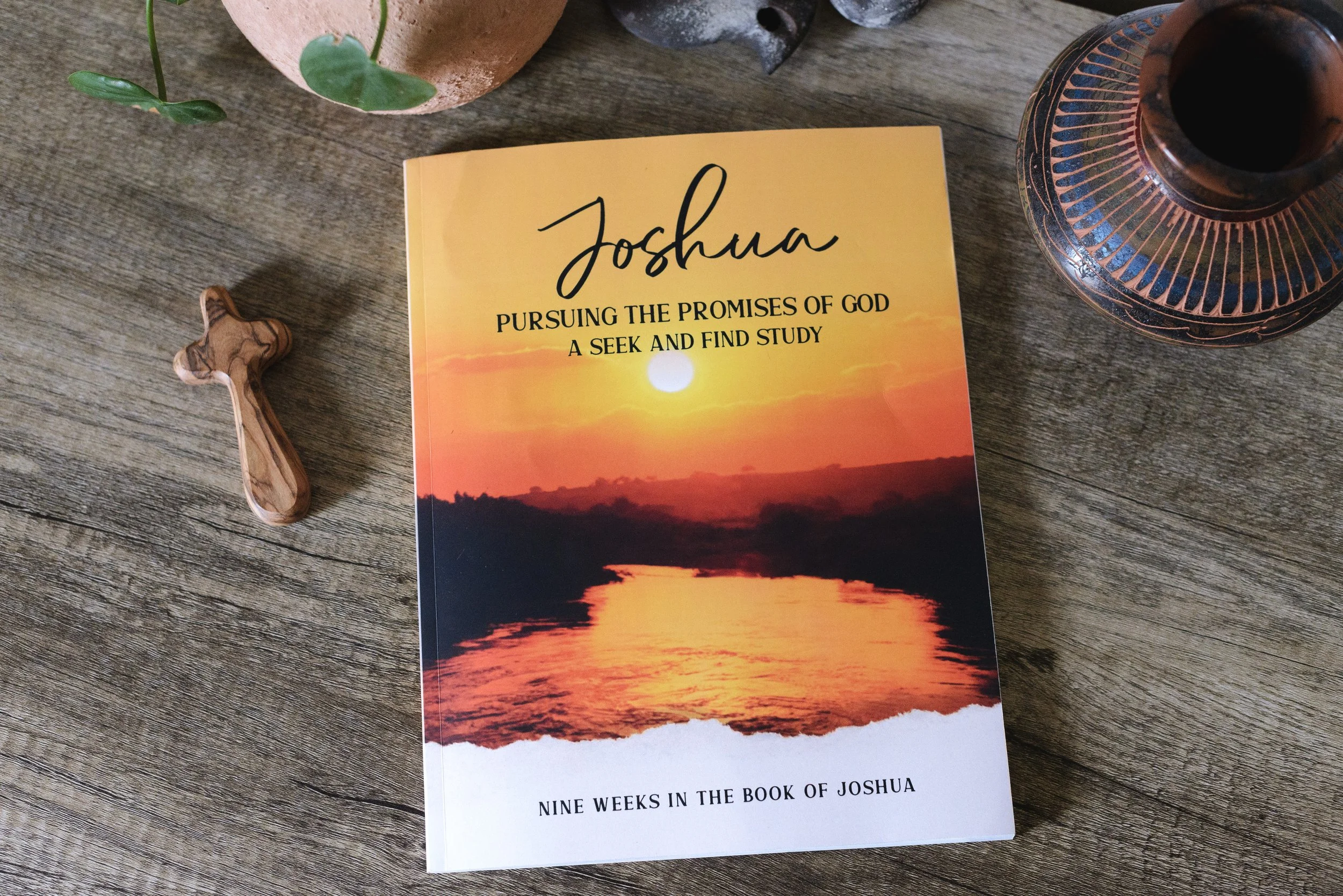 Joshua — Seek AND Find