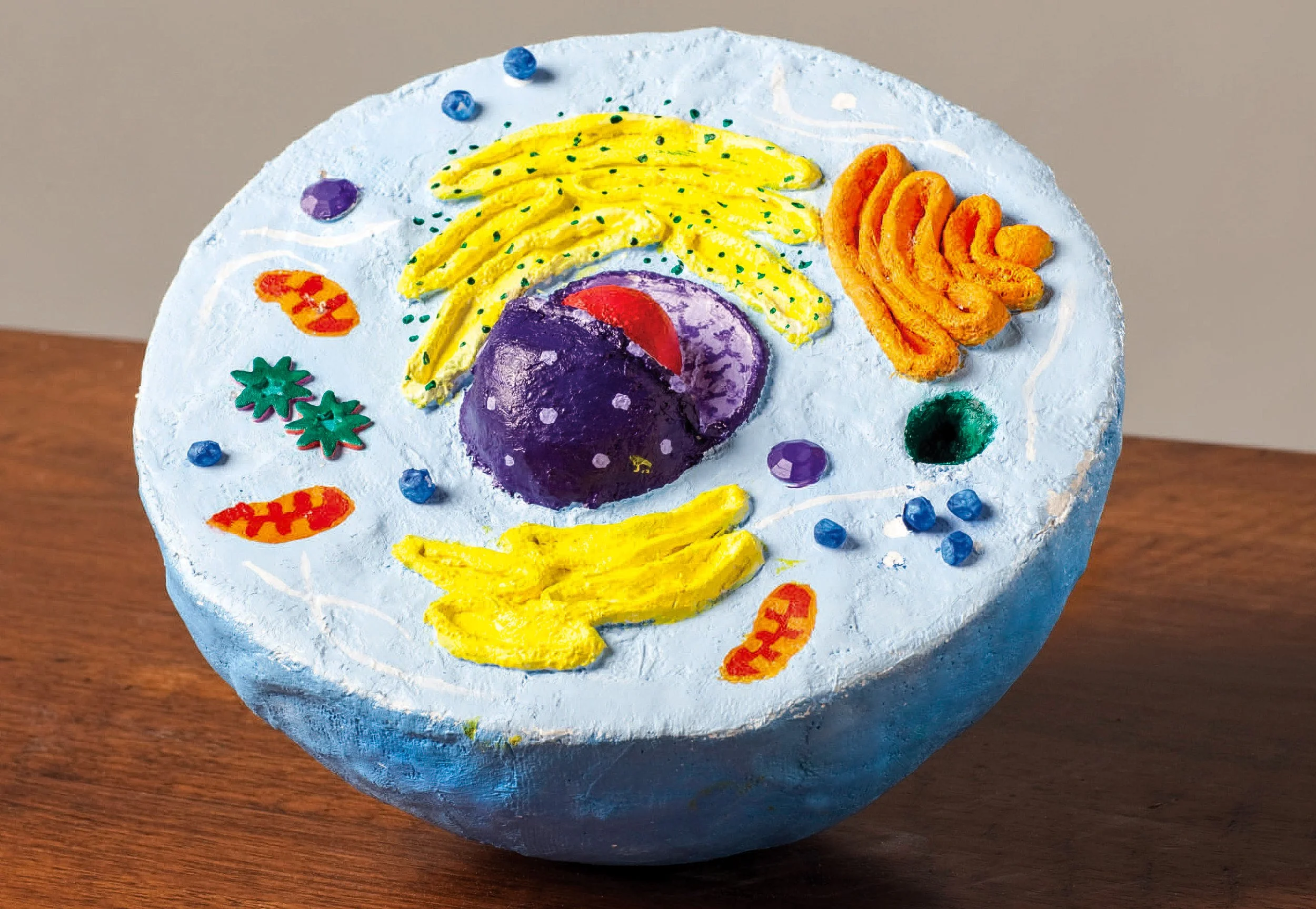 Clay Plant Cell Project