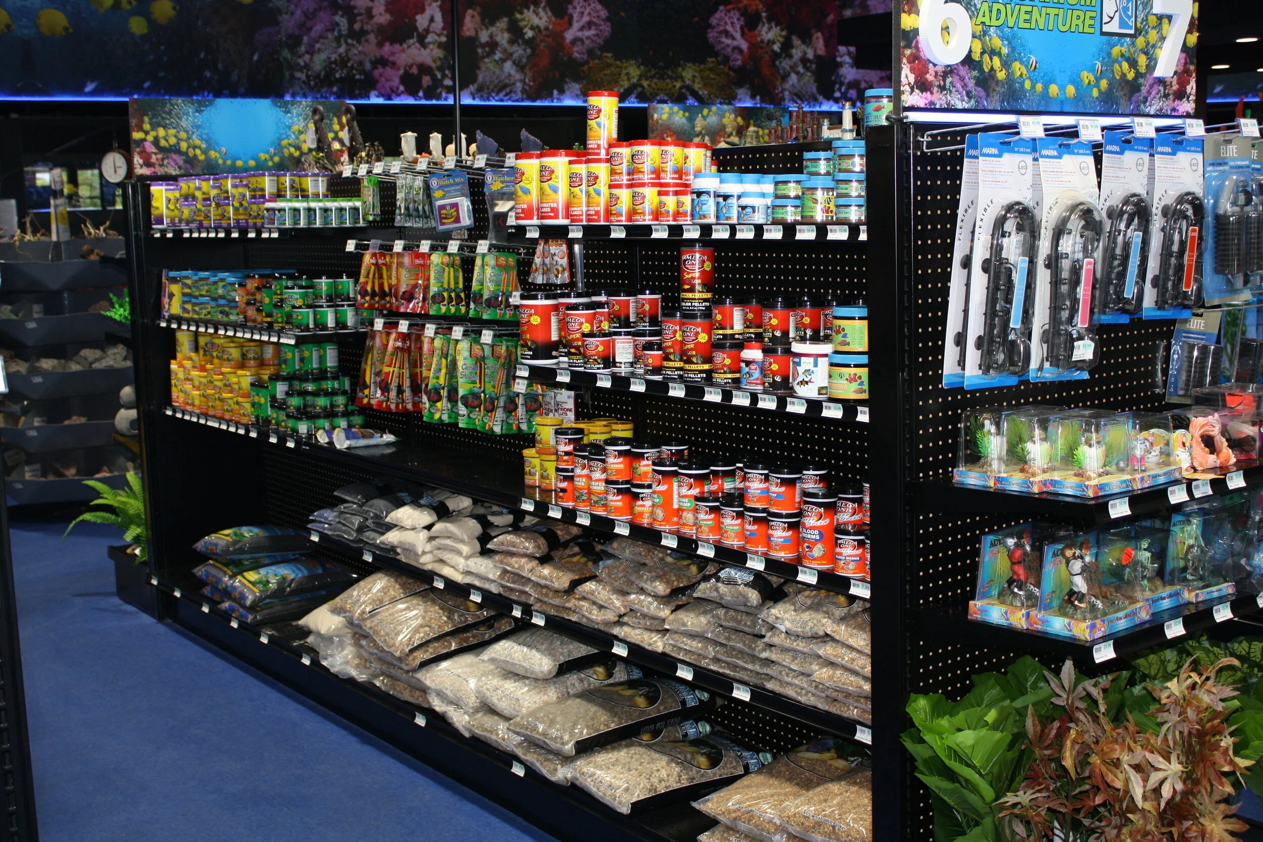 Fish Food — Aquarium Adventure Columbus