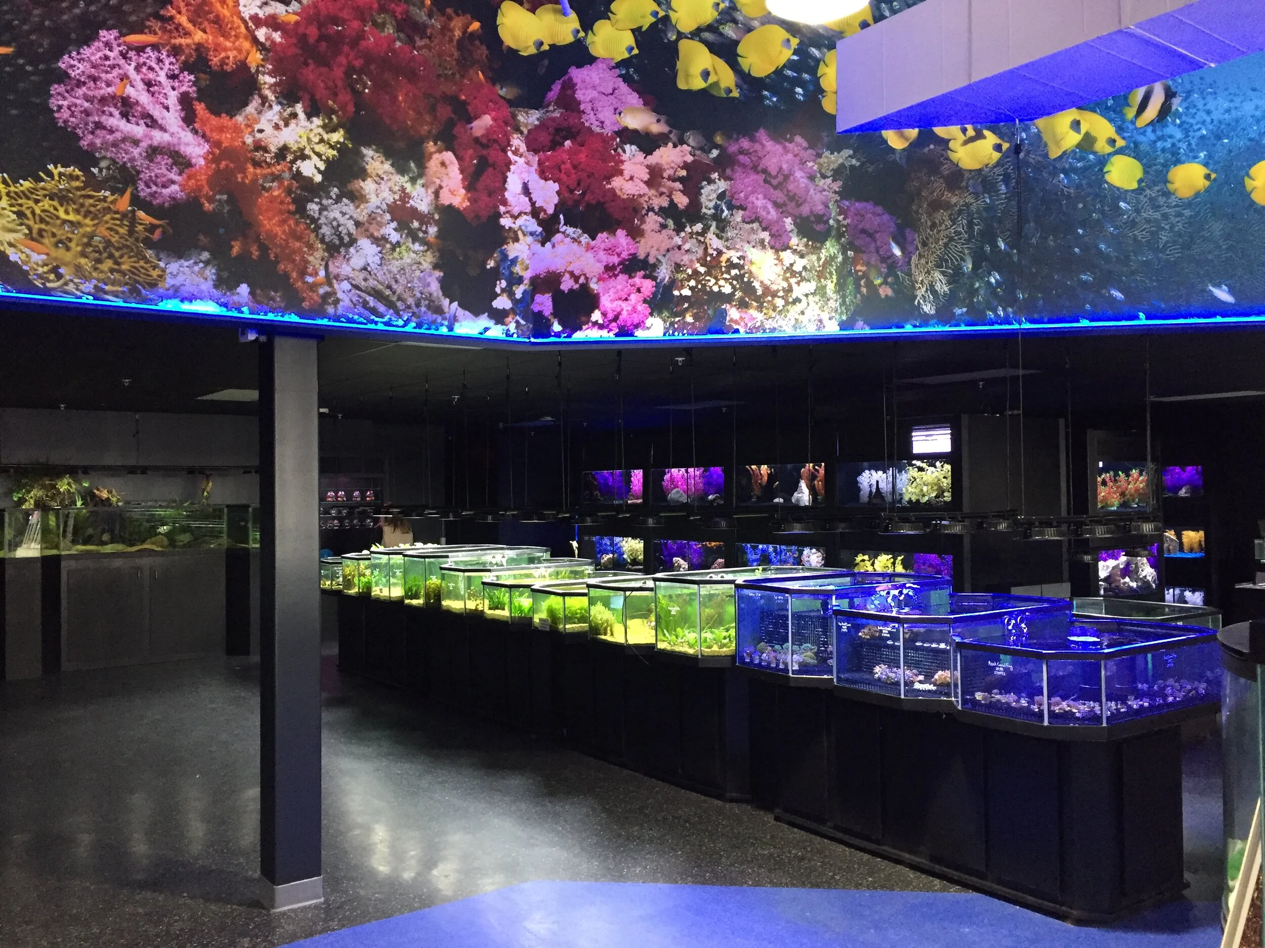 Aquarium Adventure Columbus