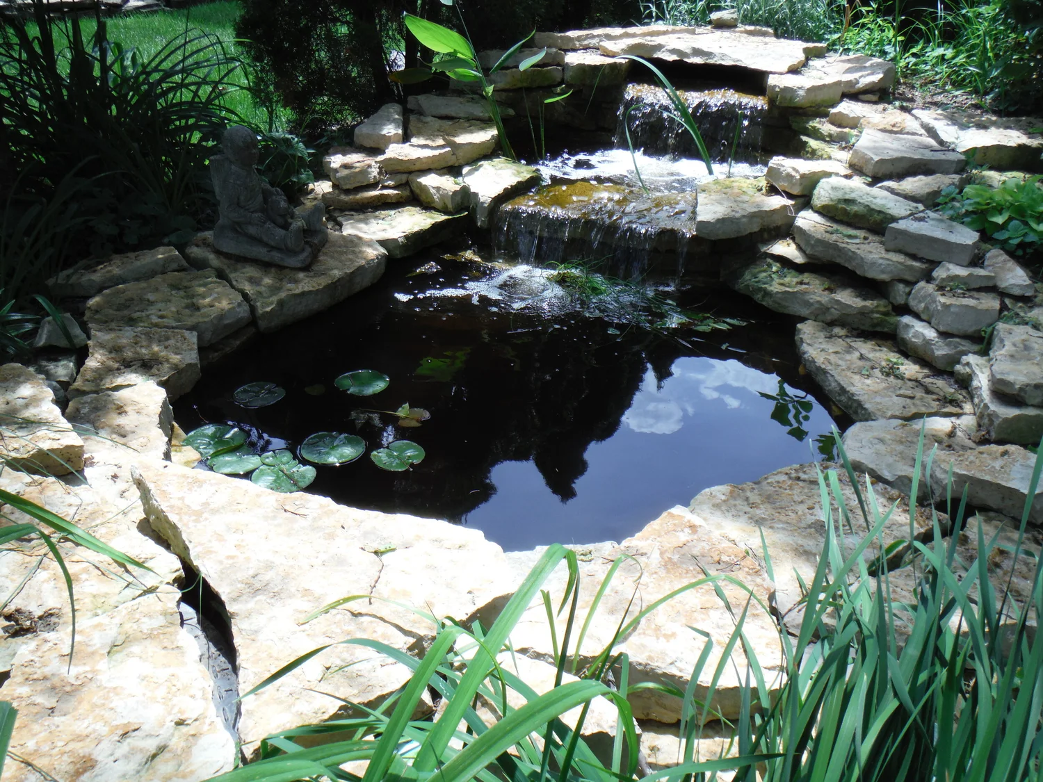 Pond Service — Aquarium Adventure Columbus