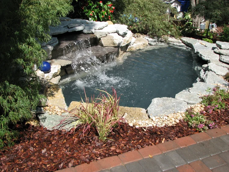 Pond Service — Aquarium Adventure Columbus