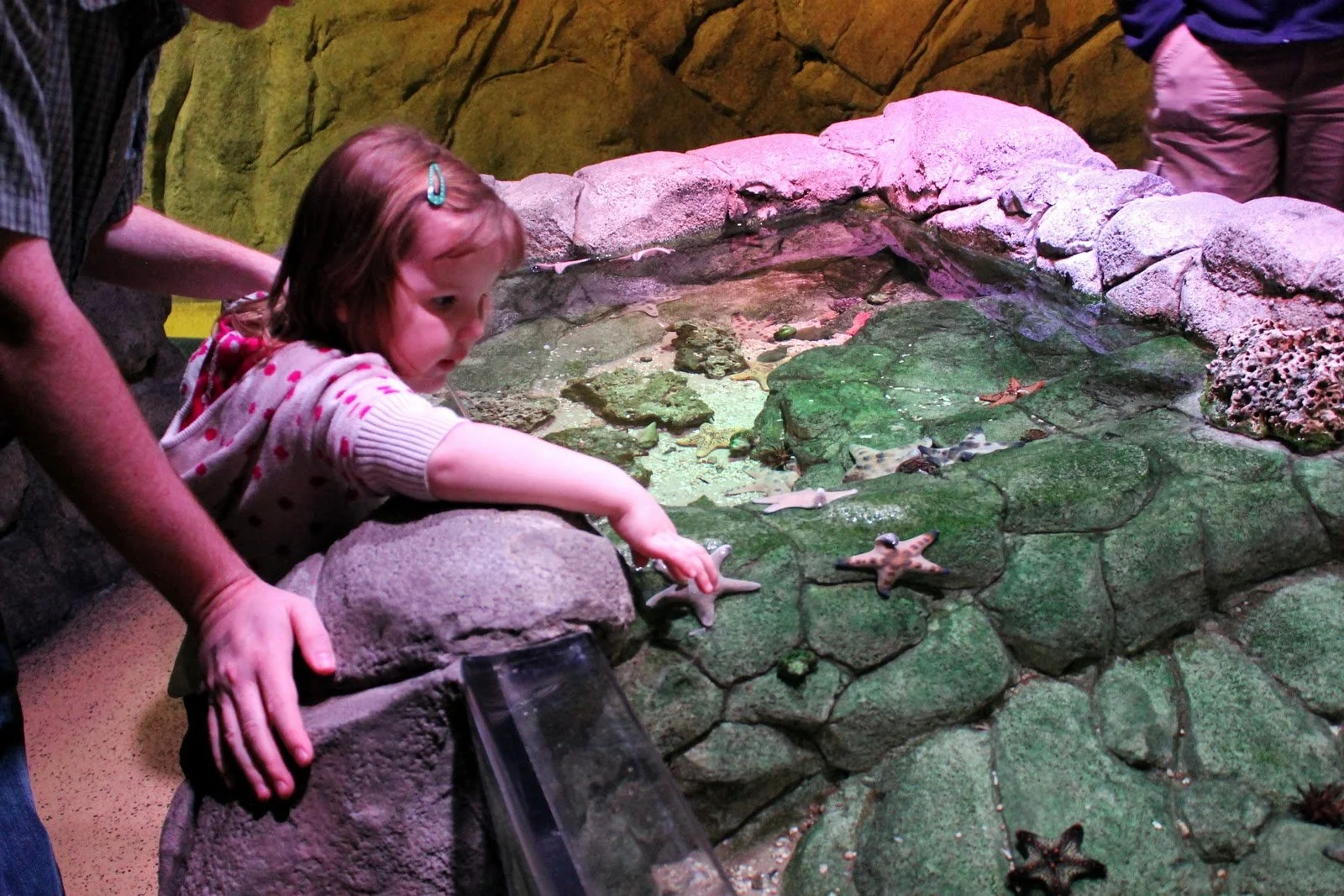 Aquarium Adventure Columbus