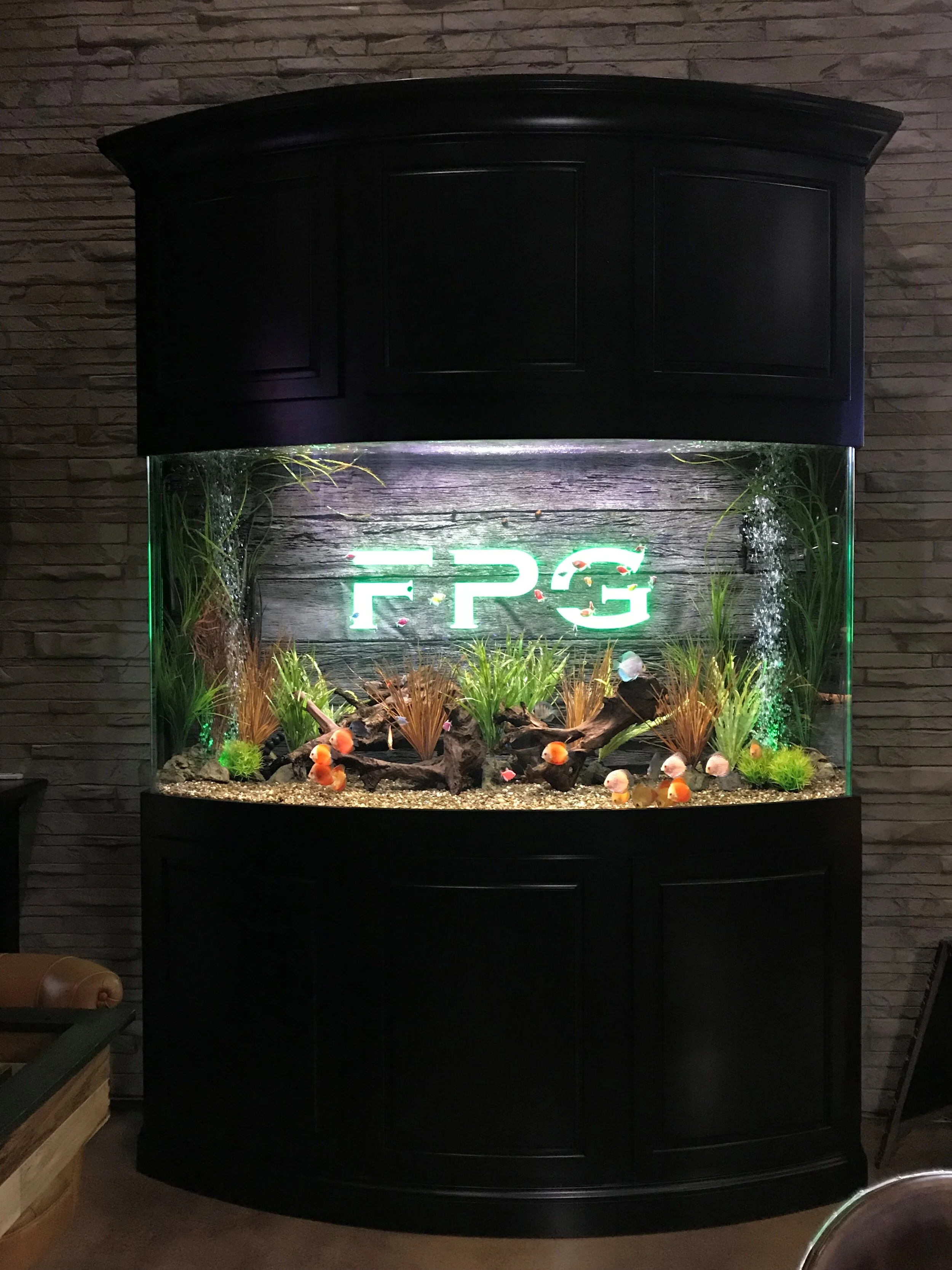 Custom Aquariums — Aquarium Adventure Columbus