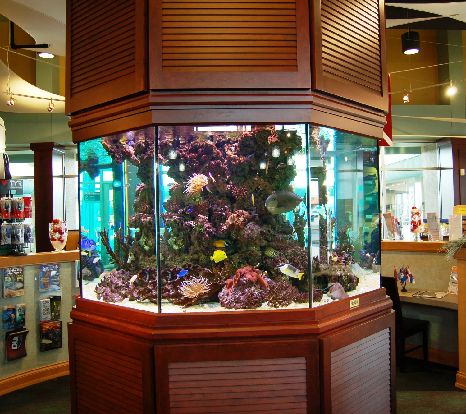 Custom Aquariums — Aquarium Adventure Columbus
