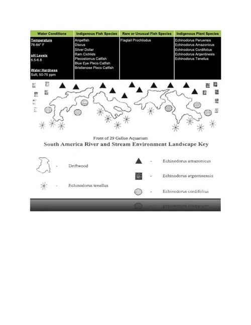 South American River & Stream Biotope — Aquarium Adventure Columbus