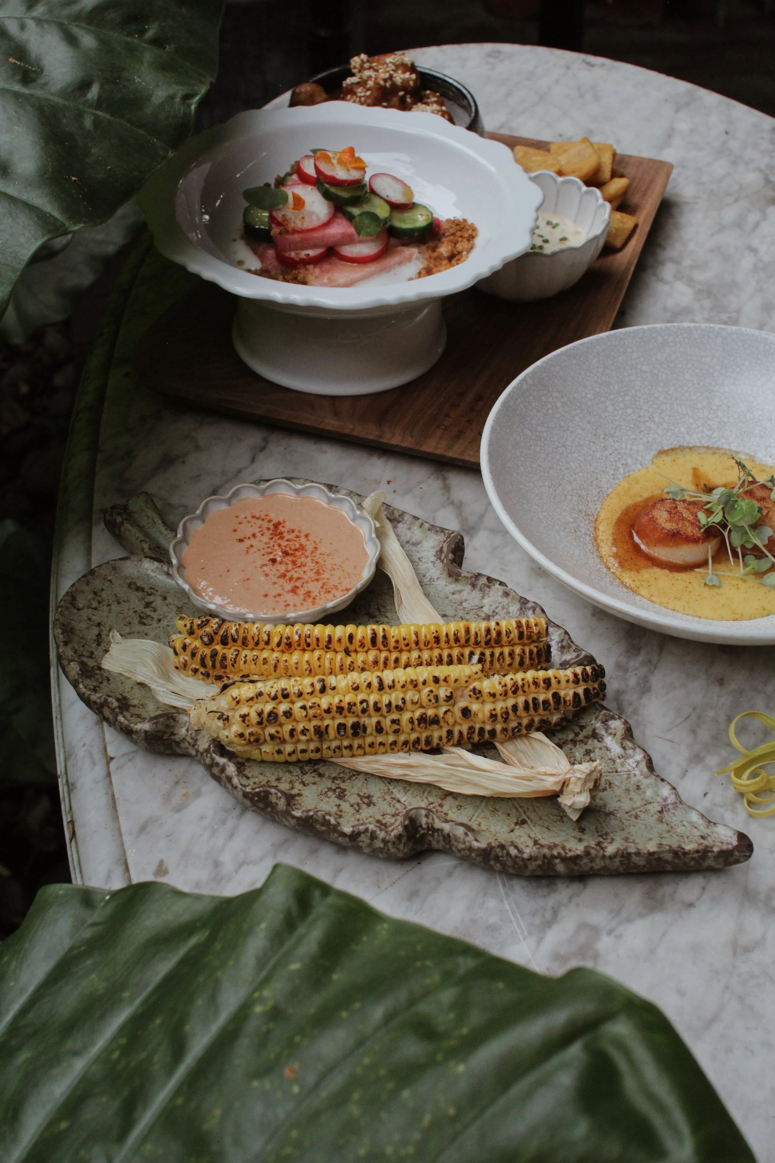 Farm Tour | Open Farm Community