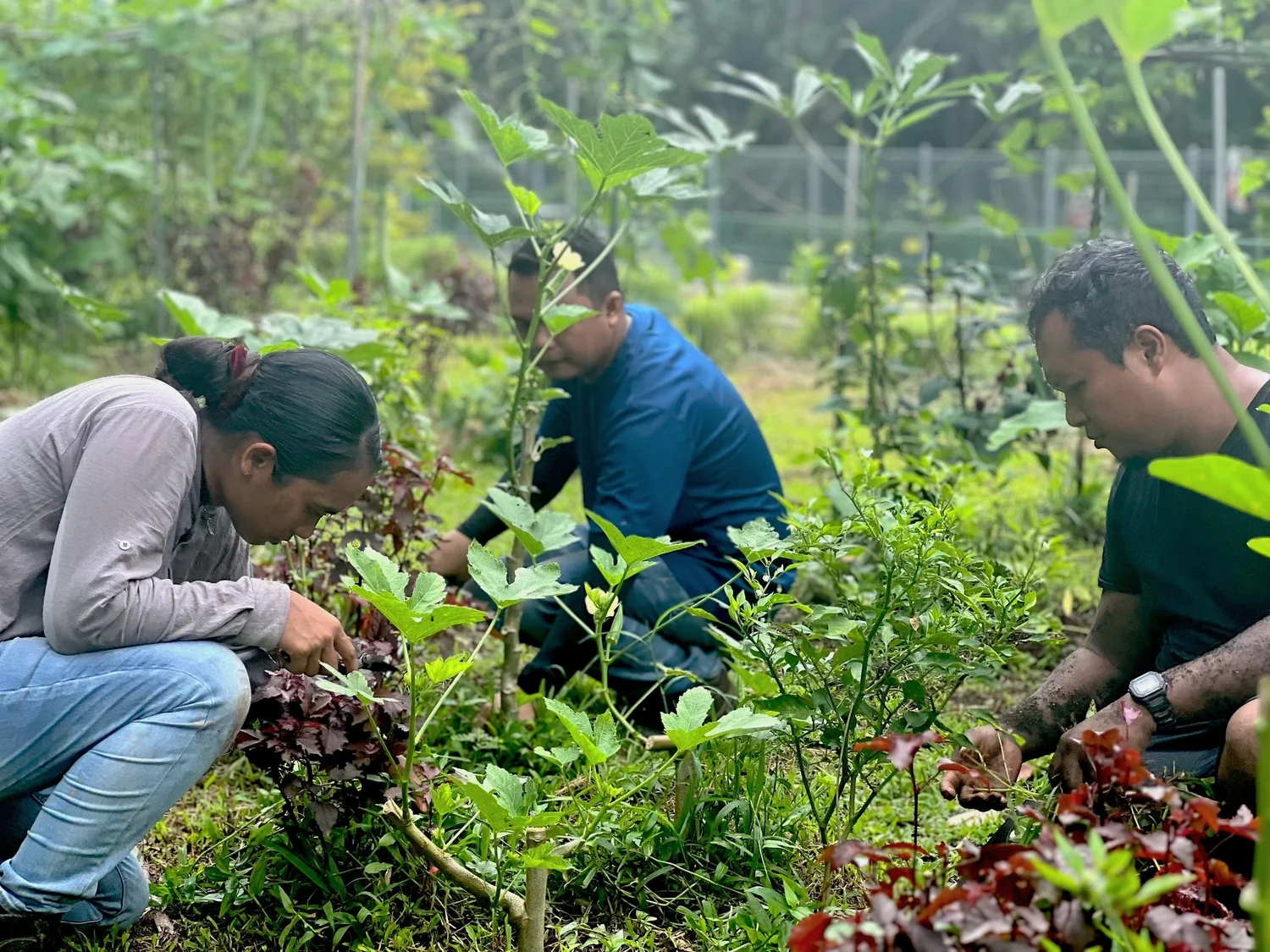 Farm Tours | Open Farm Community