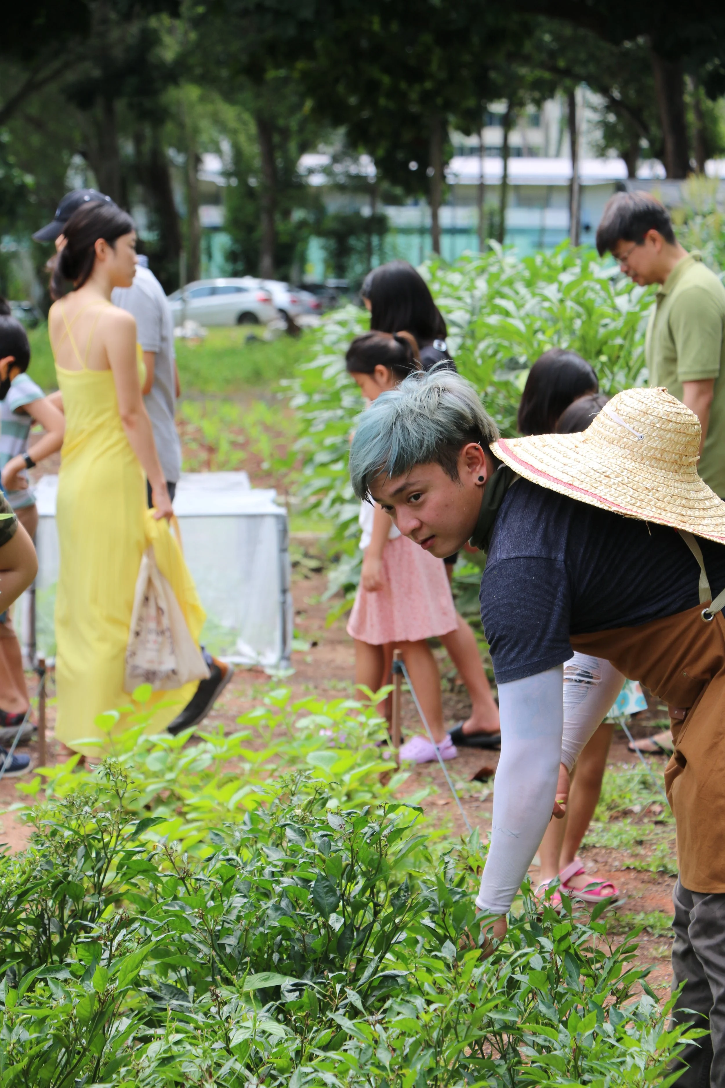 Farm Tour | Open Farm Community