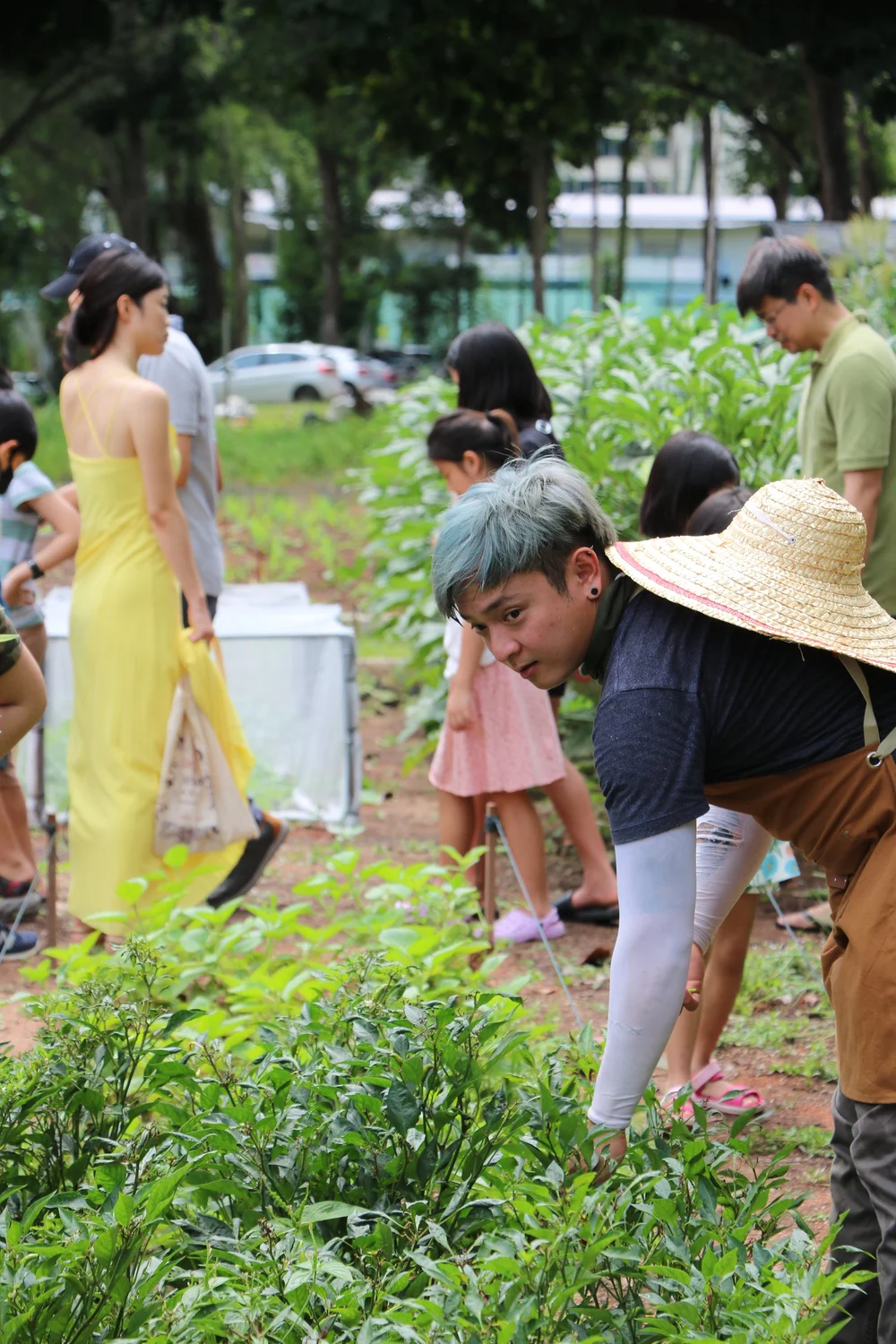 Farm Tour | Open Farm Community