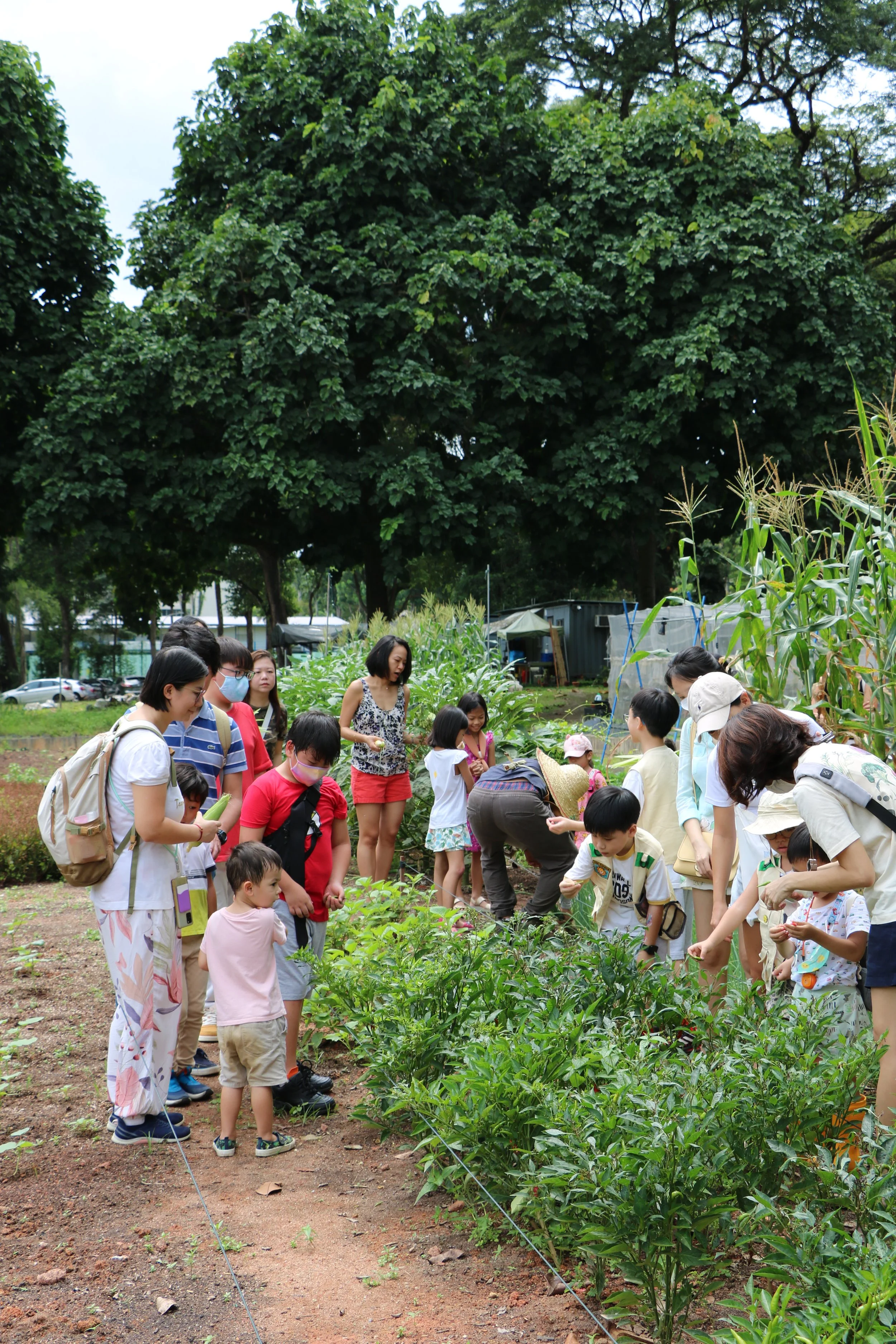 Farm Tour | Open Farm Community