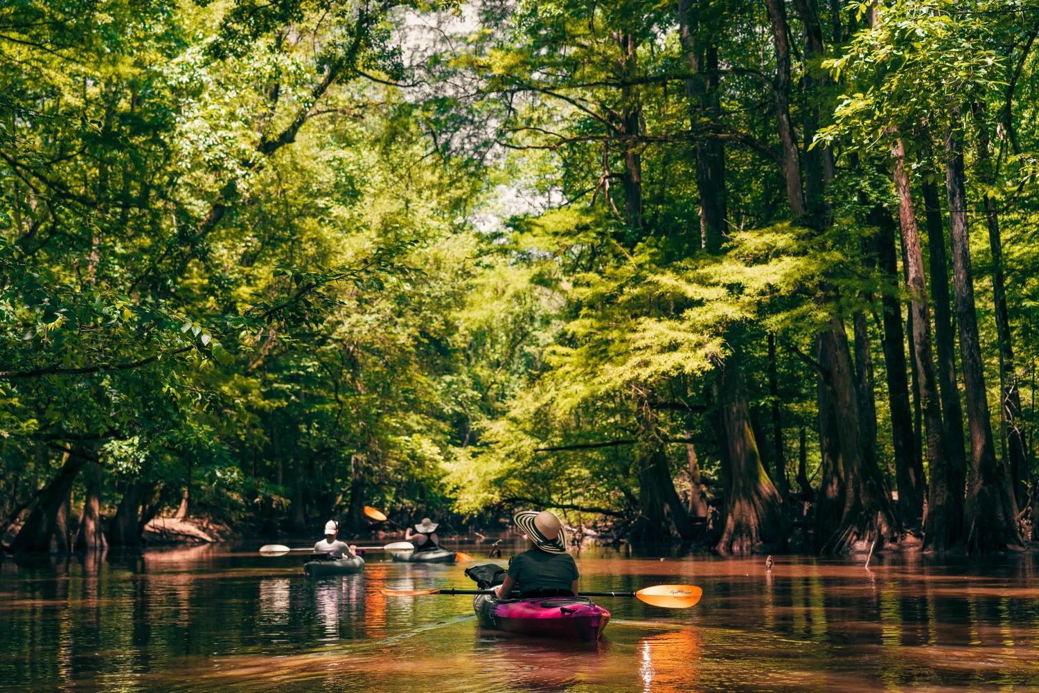 All 63 National Parks- Ranked — Alexyn Photo & Video