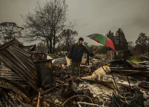 Out Of The Ashes — Oculi