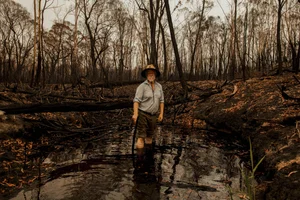 Out Of The Ashes — Oculi
