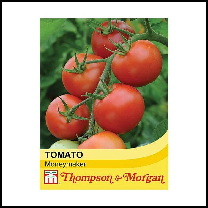 Tomato - Moneymaker * — C Booth & Son