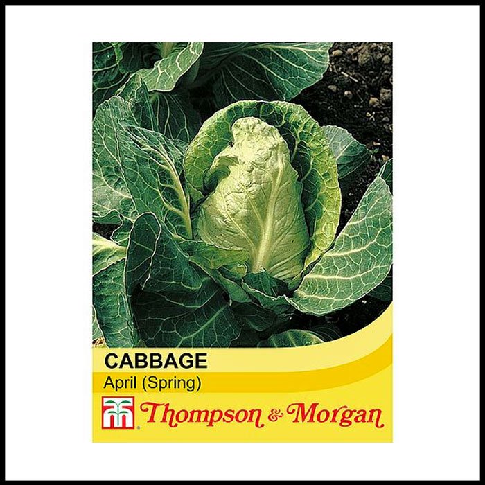 Cabbage - April (Spring) — C Booth & Son