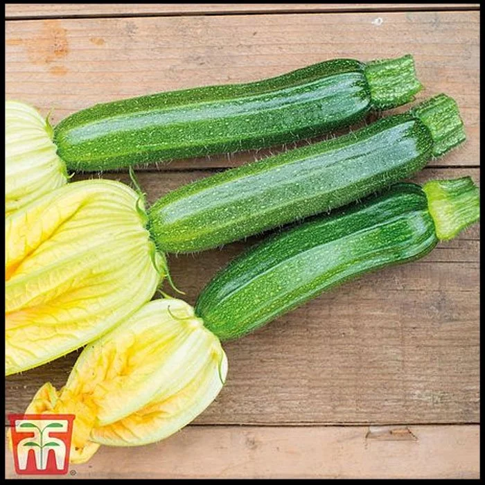 Courgette - Defender F1 Hybrid — C Booth & Son