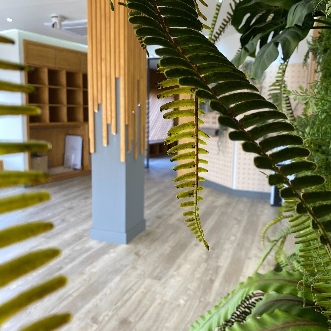 Boxx Design Studio - General 1