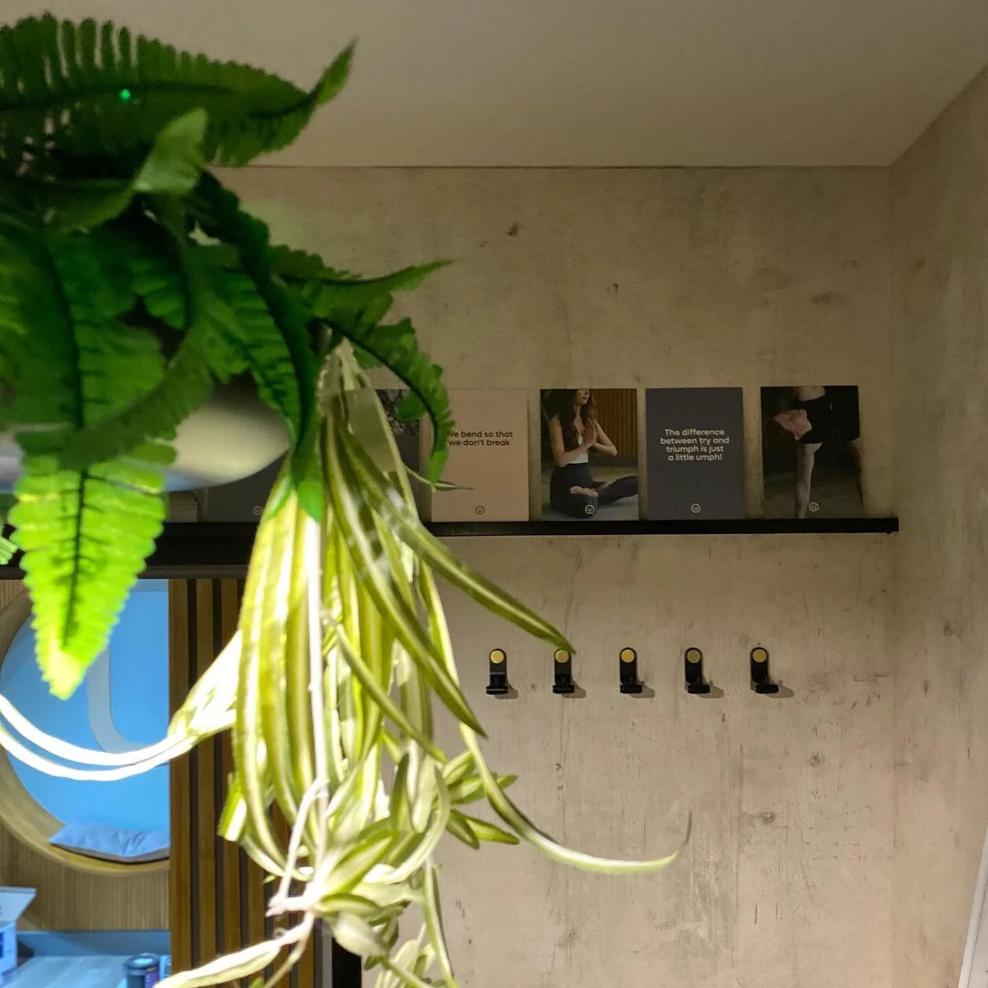 Boxx Design Studio - General 1