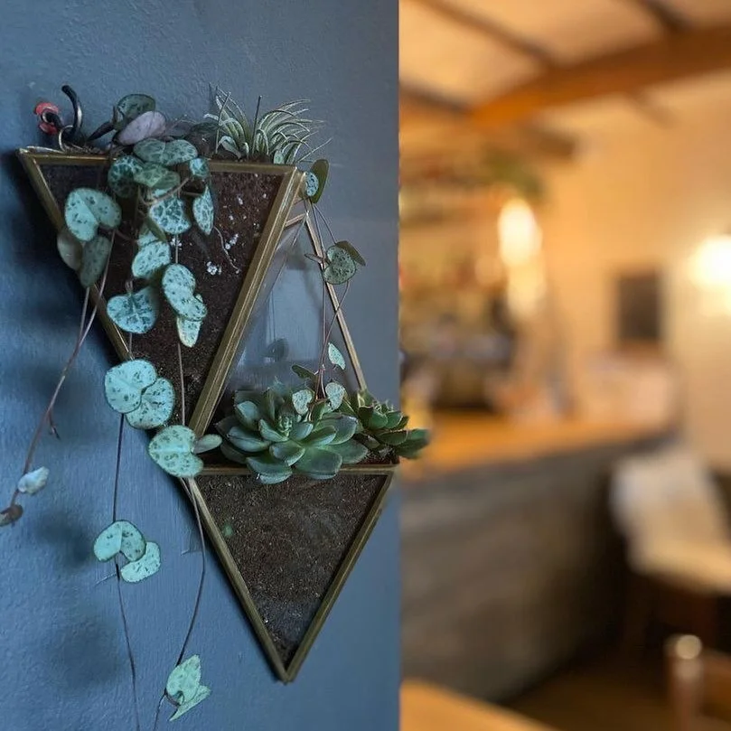 Boxx Design Studio - General 1