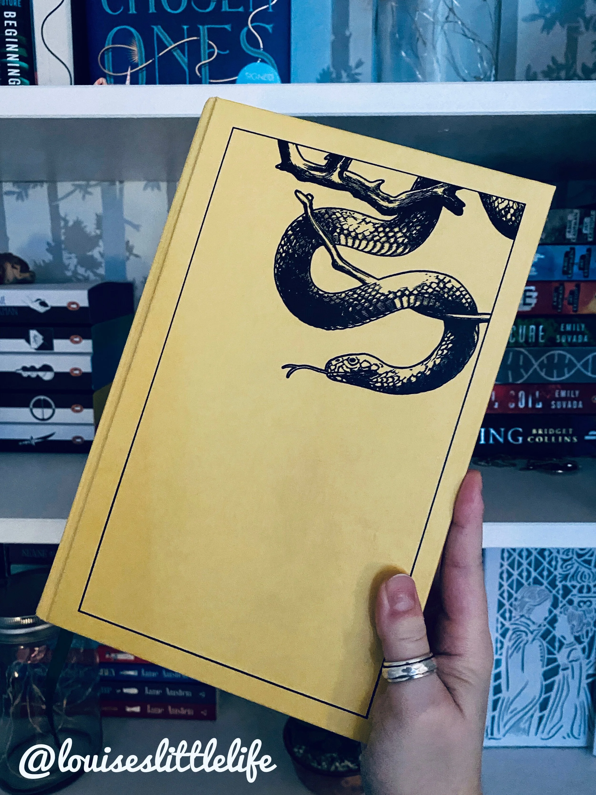 The Ballad of Songbirds and Snakes by Suzanne Collins ~ Book Review ...