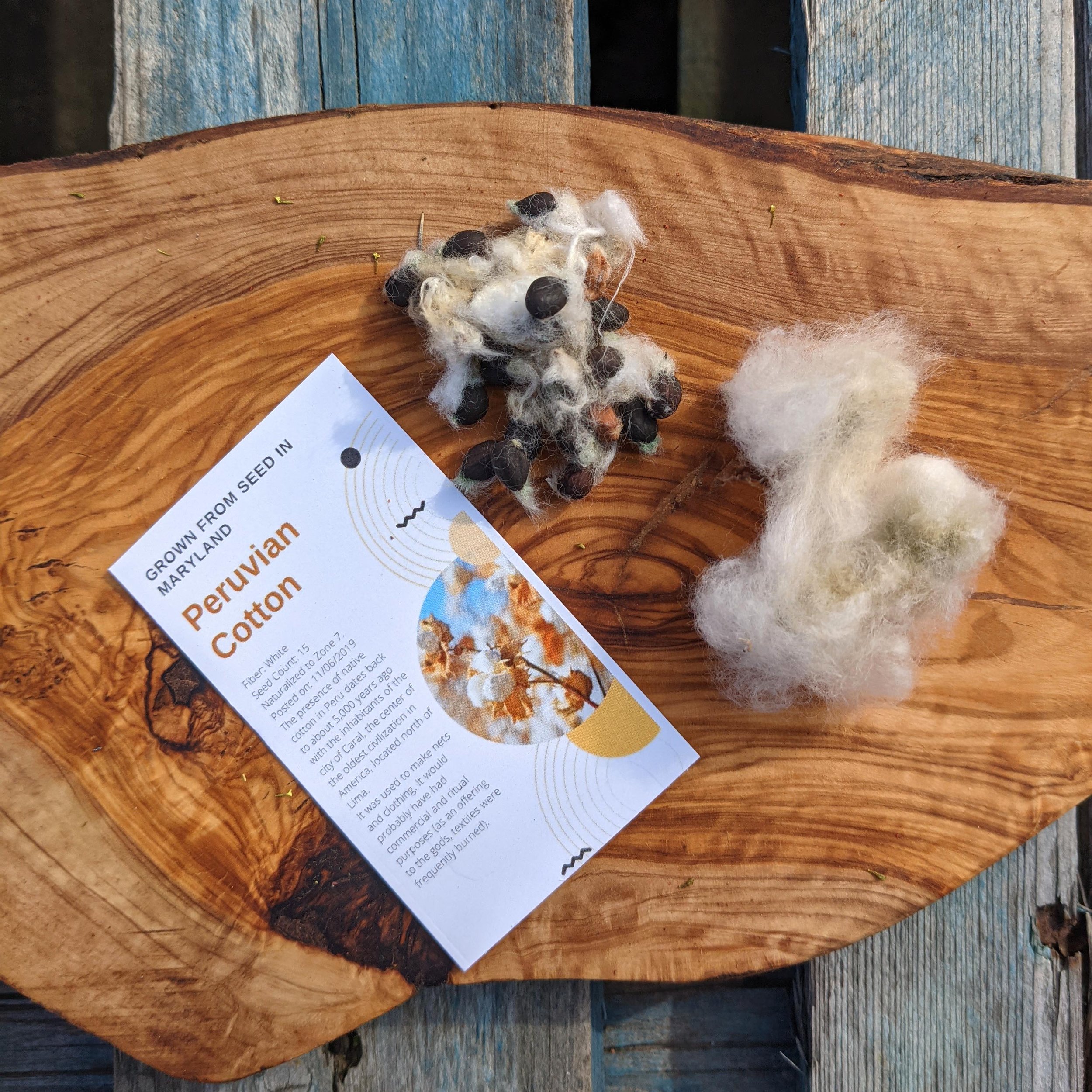 Store 2 — Blue Light Junction