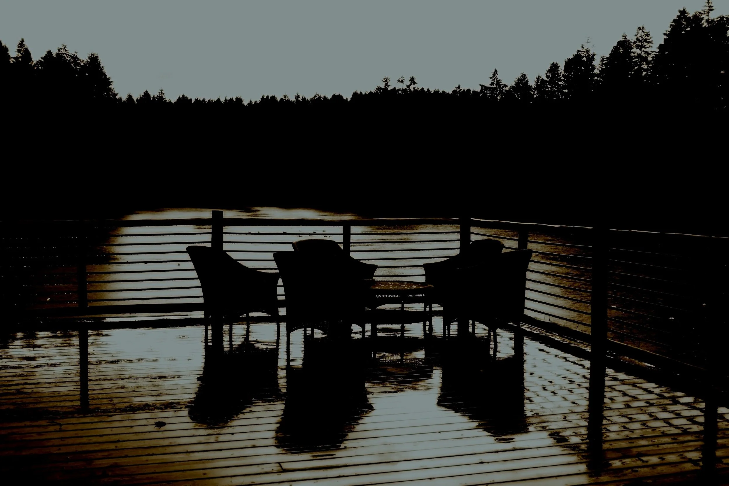 C2 Guard wood and deck stain